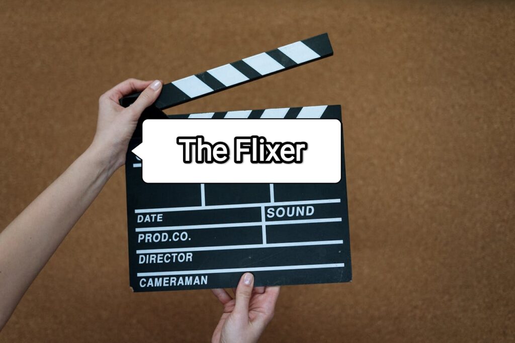 The Flixer: A Comprehensive Review of the Streaming Service - Now ...